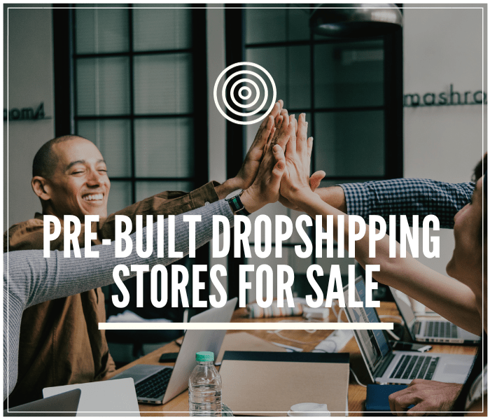 Readymade Dropshipping Stores For Sale | Shopify Store For Sale